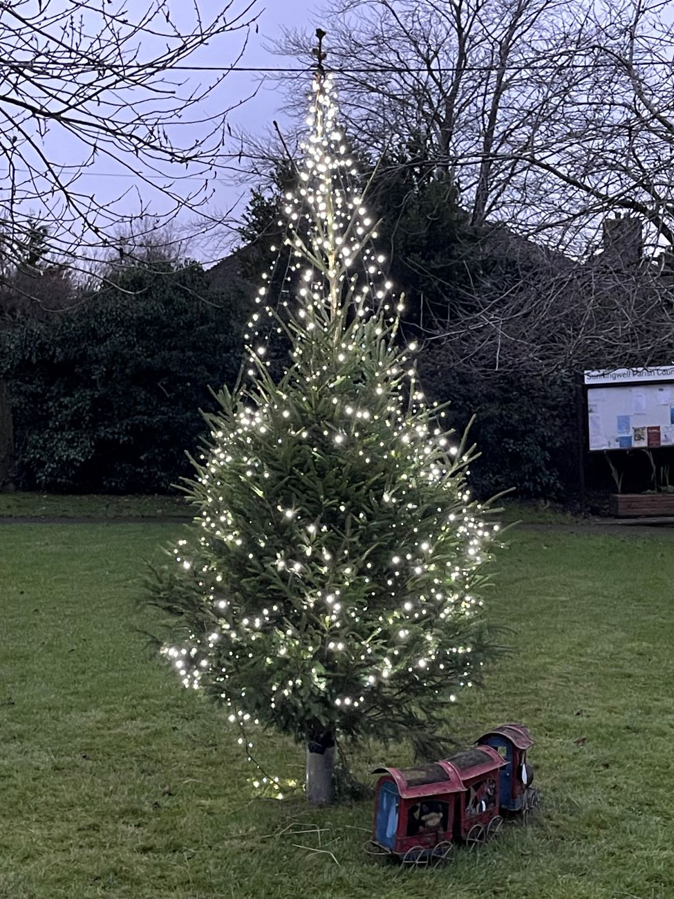 Bayworth Triangle Christmas Tree - Sunningwell Parish Council